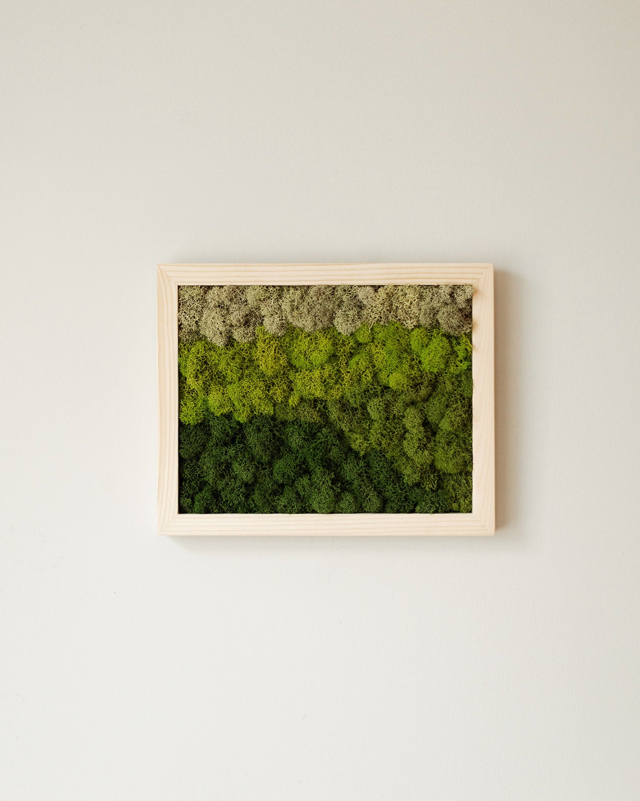Landscape – Solid Moss Co.