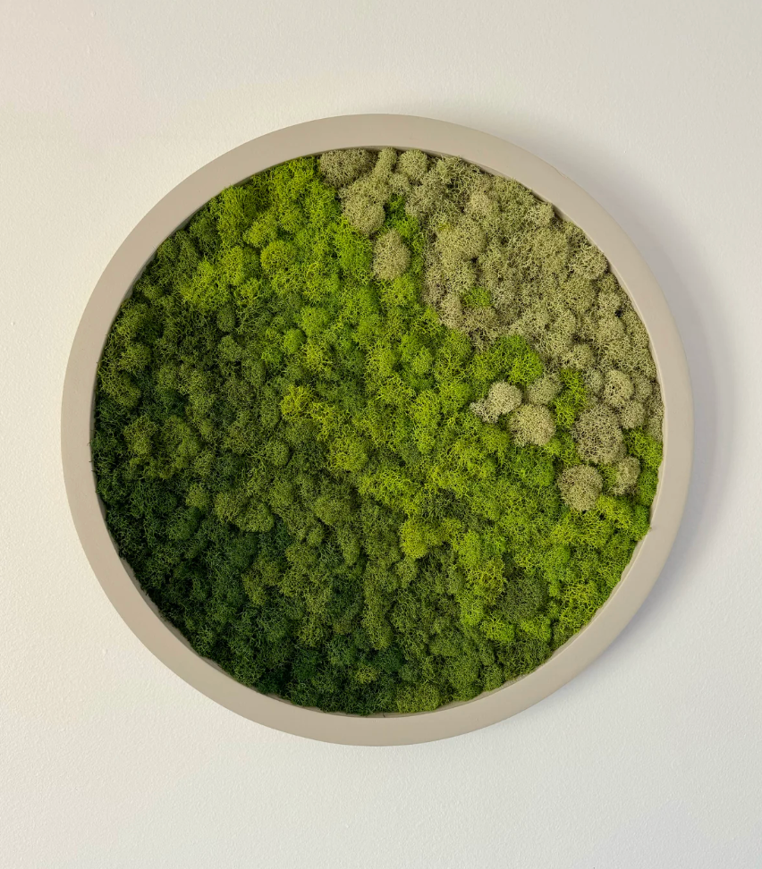 Ombré – Solid Moss Co.