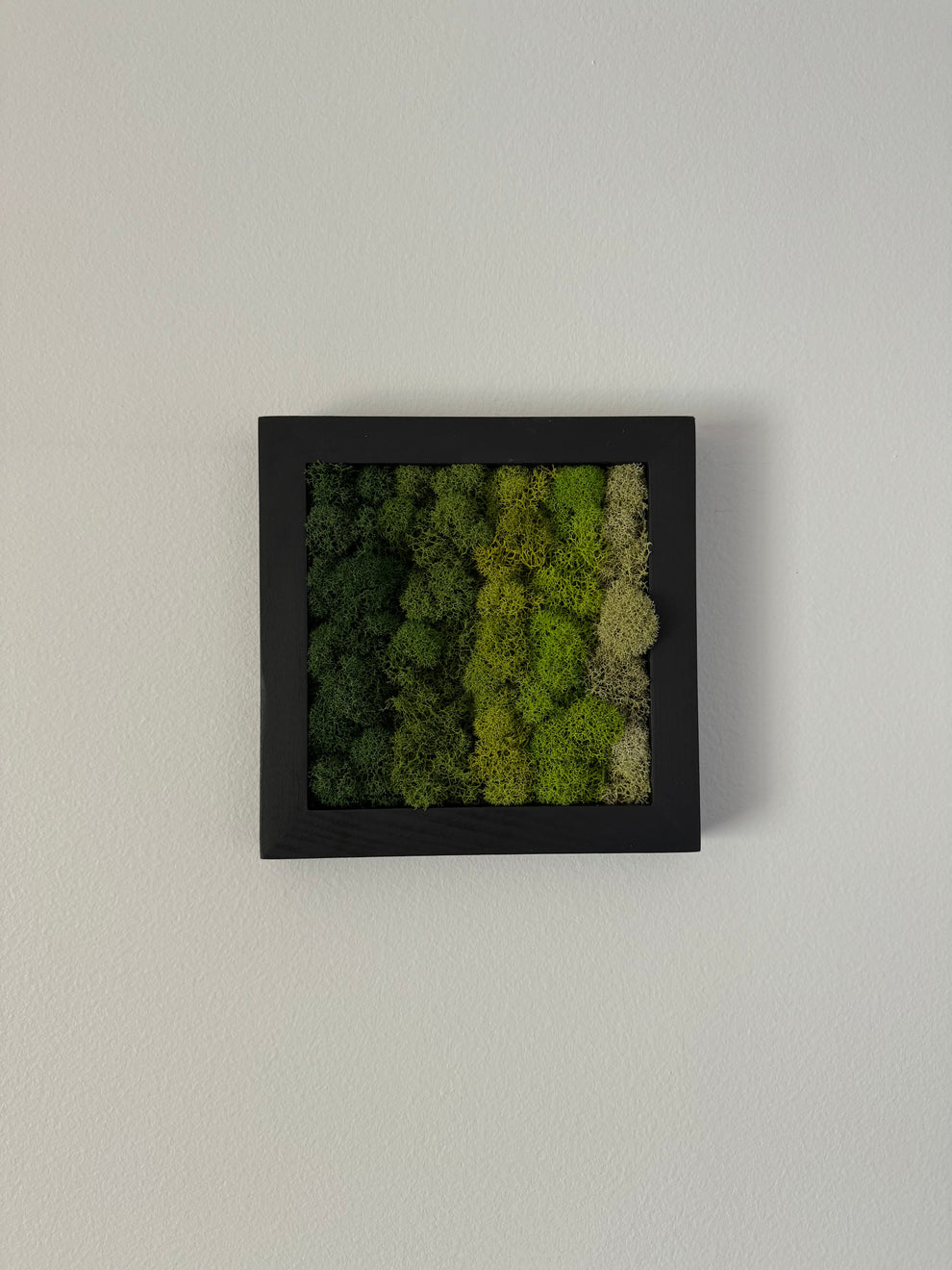 Horizontal Gradient – Solid Moss Co.