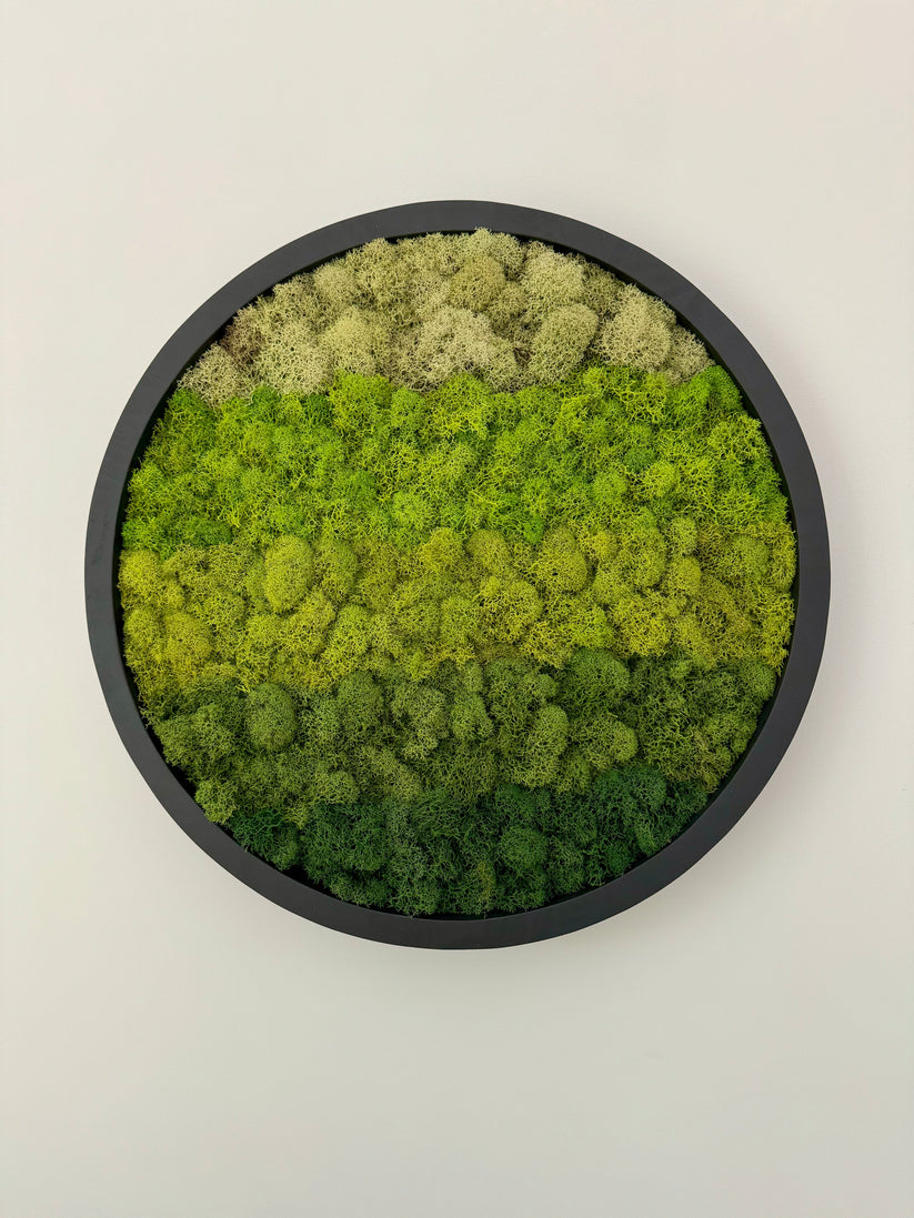 Vertical Gradient – Solid Moss Co.
