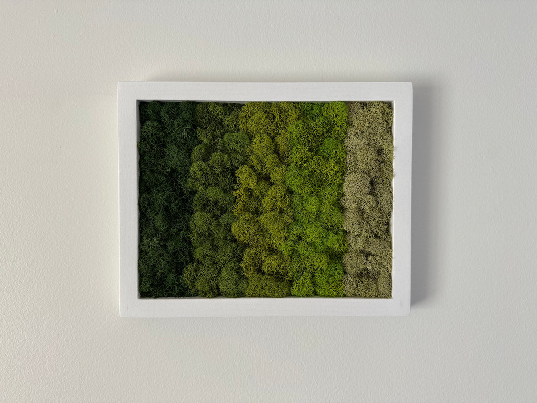 Purple – Solid Moss Co.