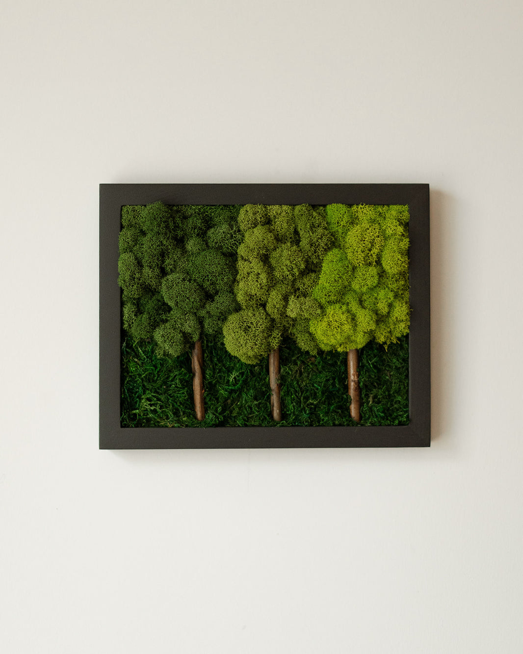 Solid Moss Co. | Moss Art for Your Home