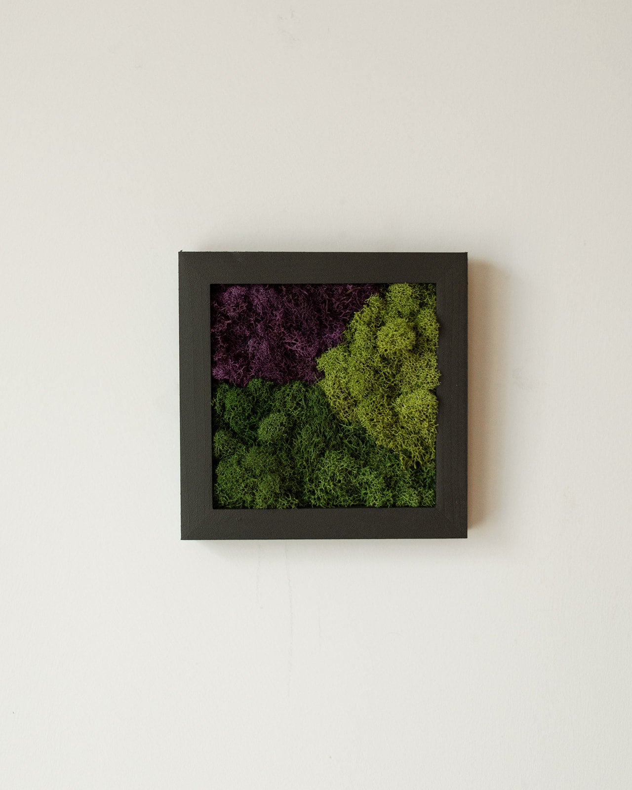 Solid Moss Co. | Moss Art for Your Home