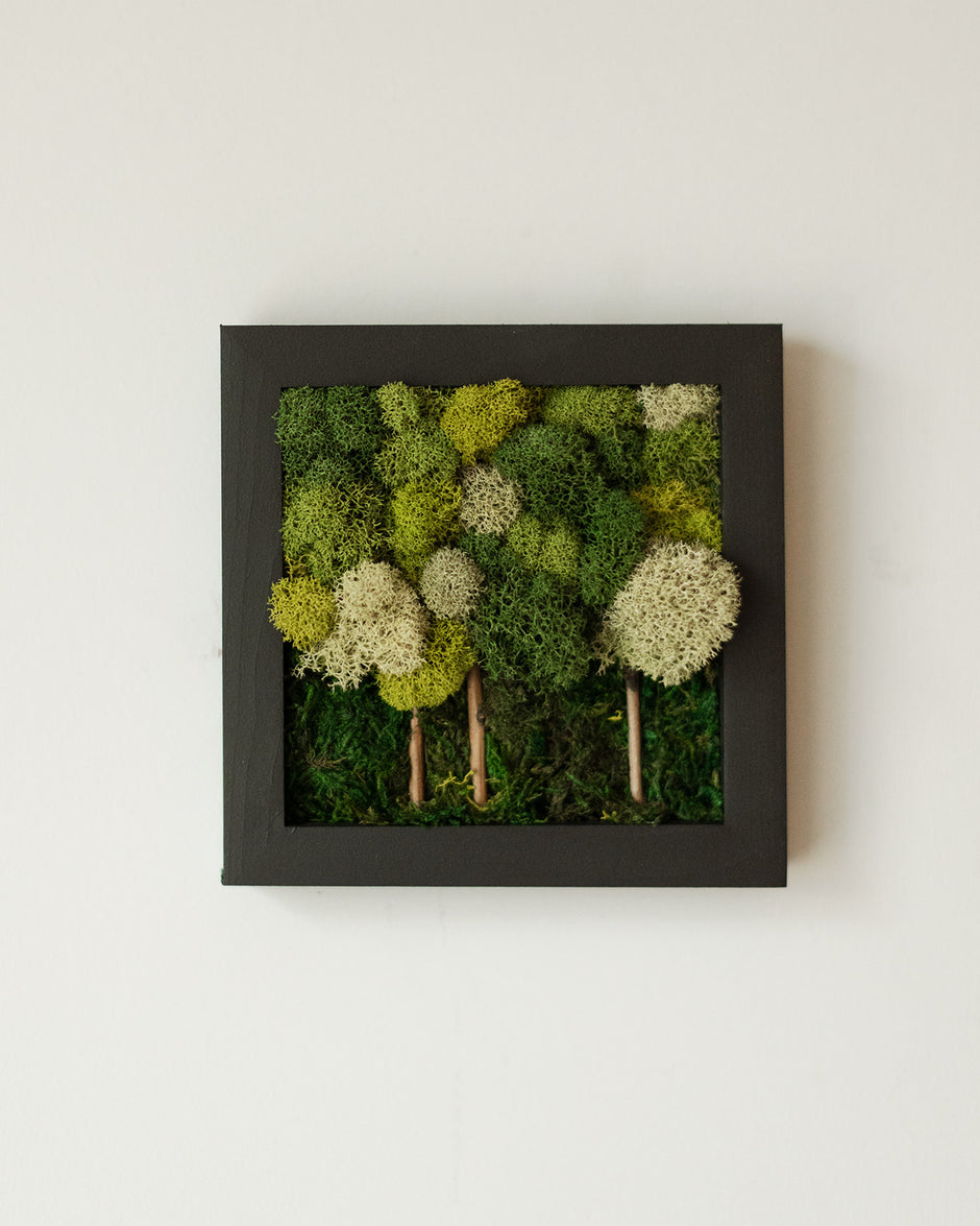 Squares – Solid Moss Co.